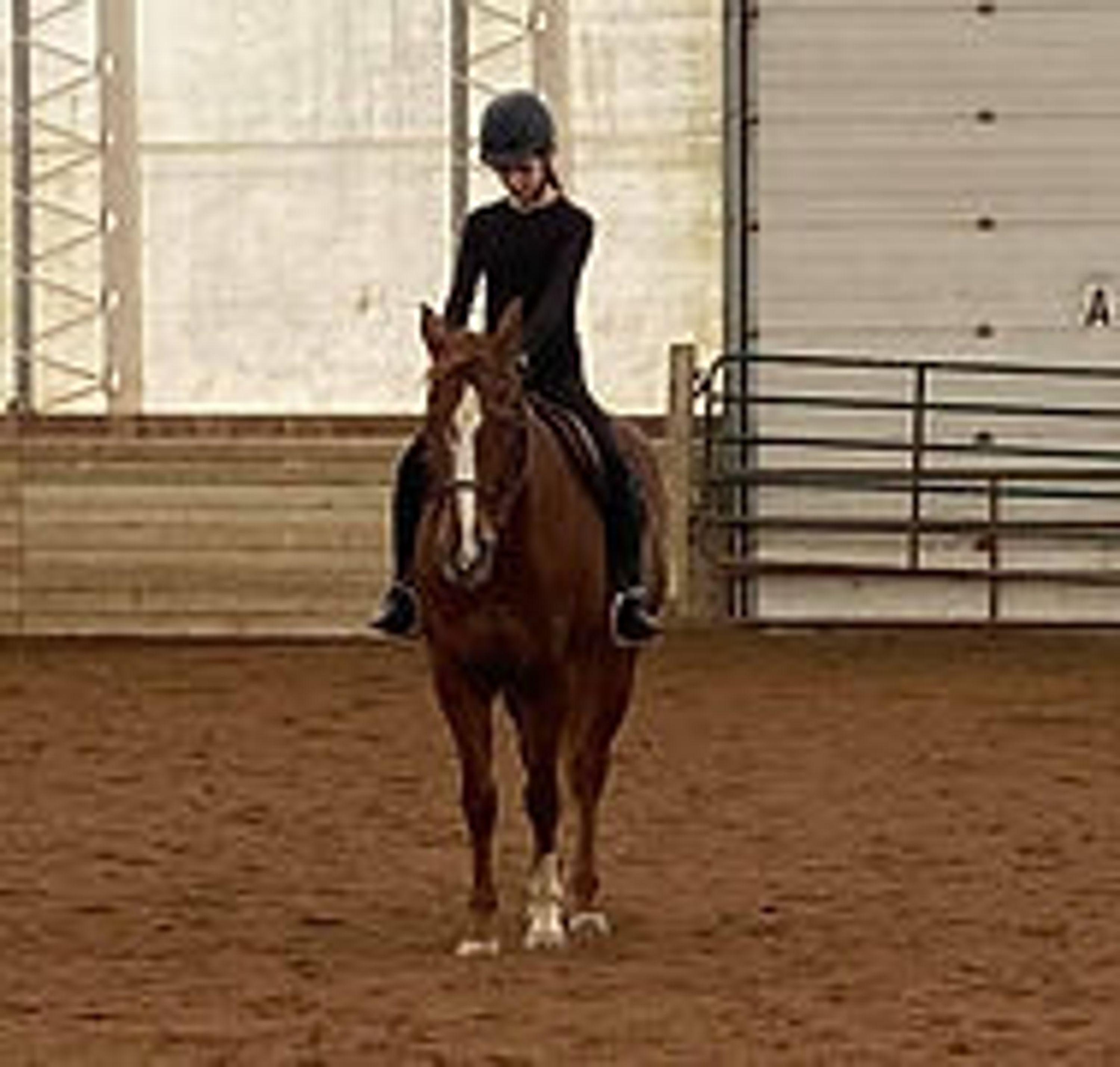 Dressage Schooling Show at Shady Maple Stables - PlaySport.com