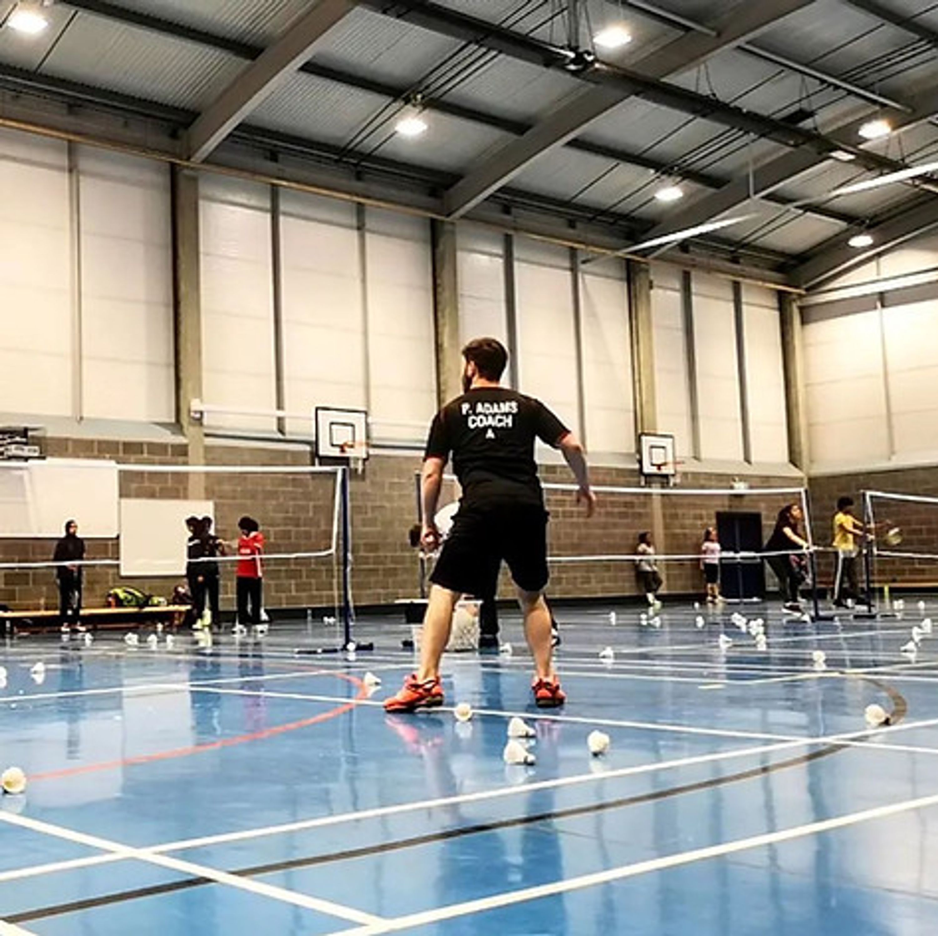 Dynamic Badminton - Phil Adams - PlaySport