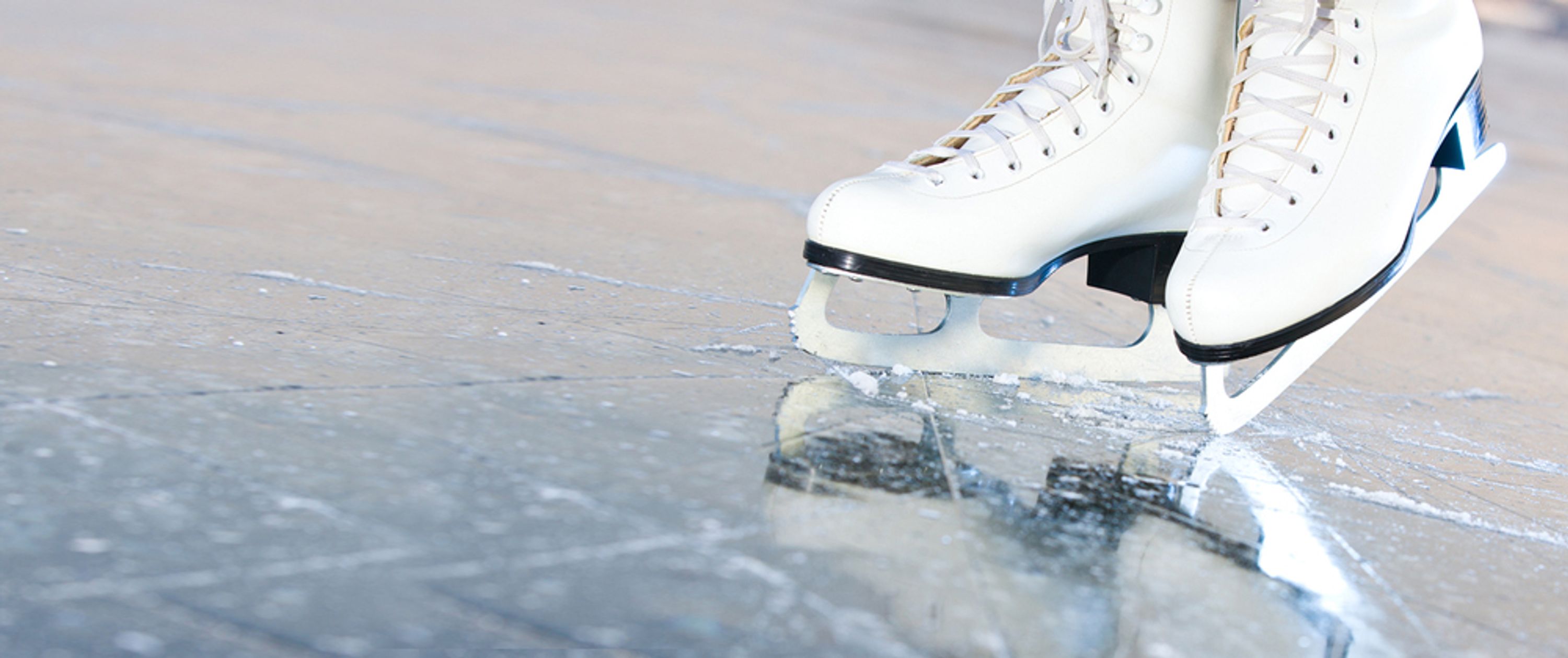 Wild Rose Figure Skating Club - PlaySport