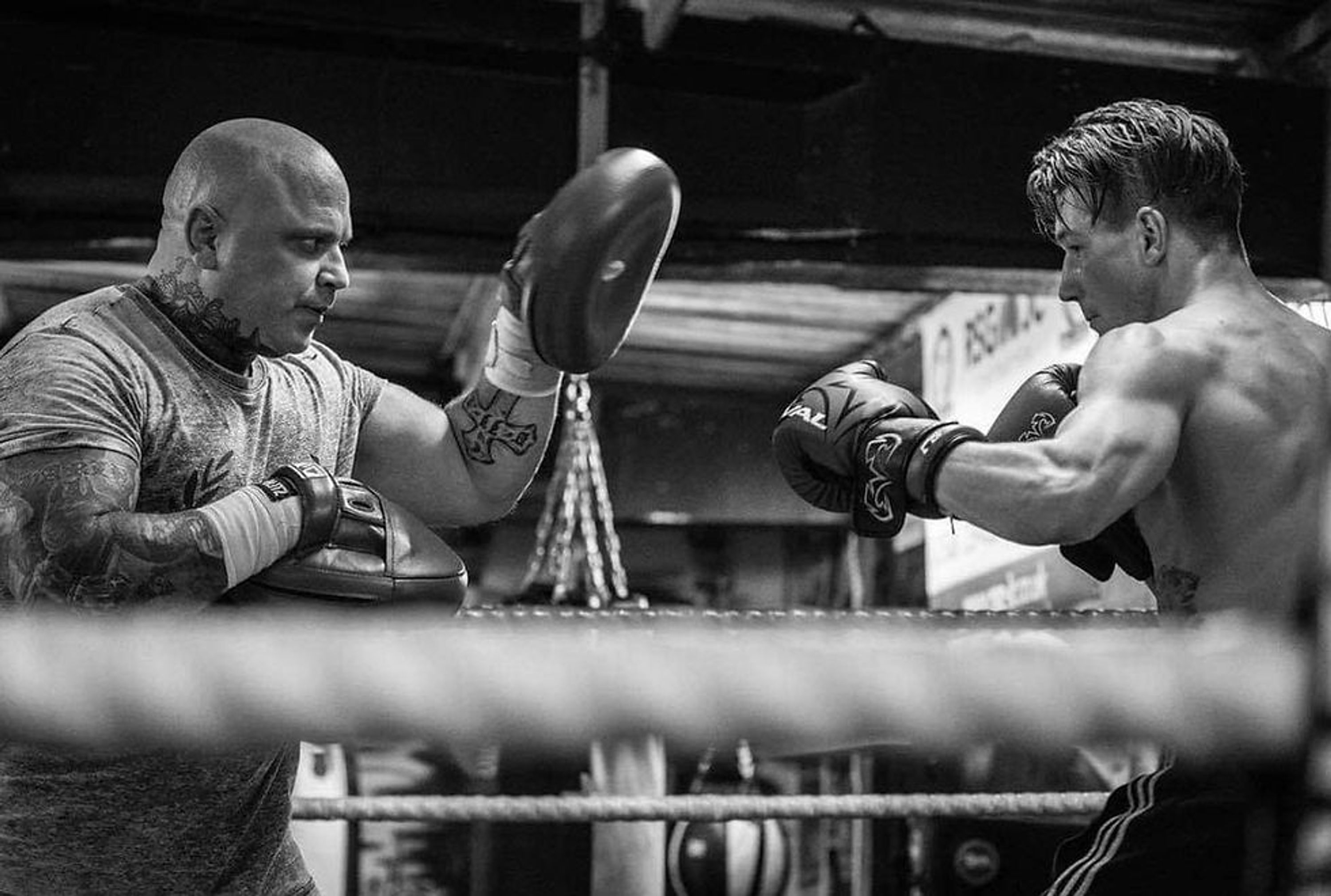 FIGHT FACTORY - PlaySport