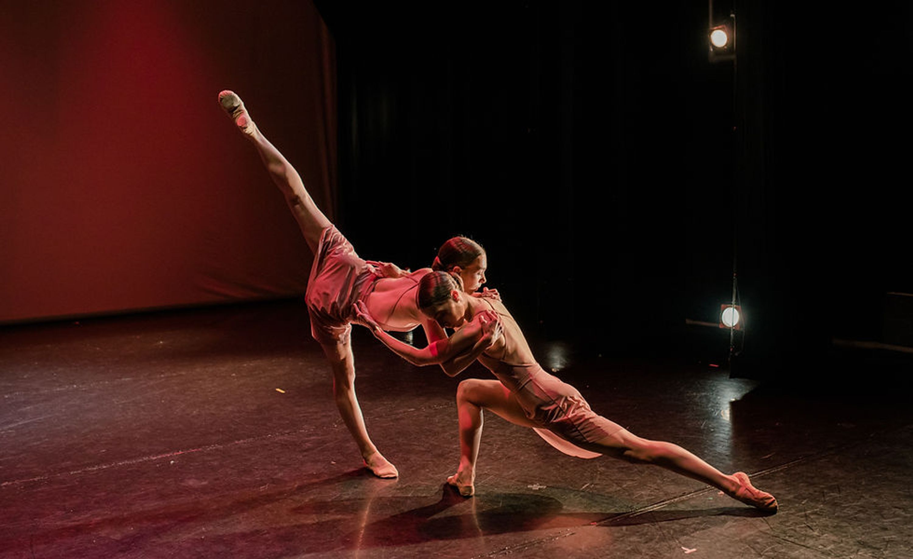 Artistry and Performance, a Summer Intensive in Ballet with Irina ...