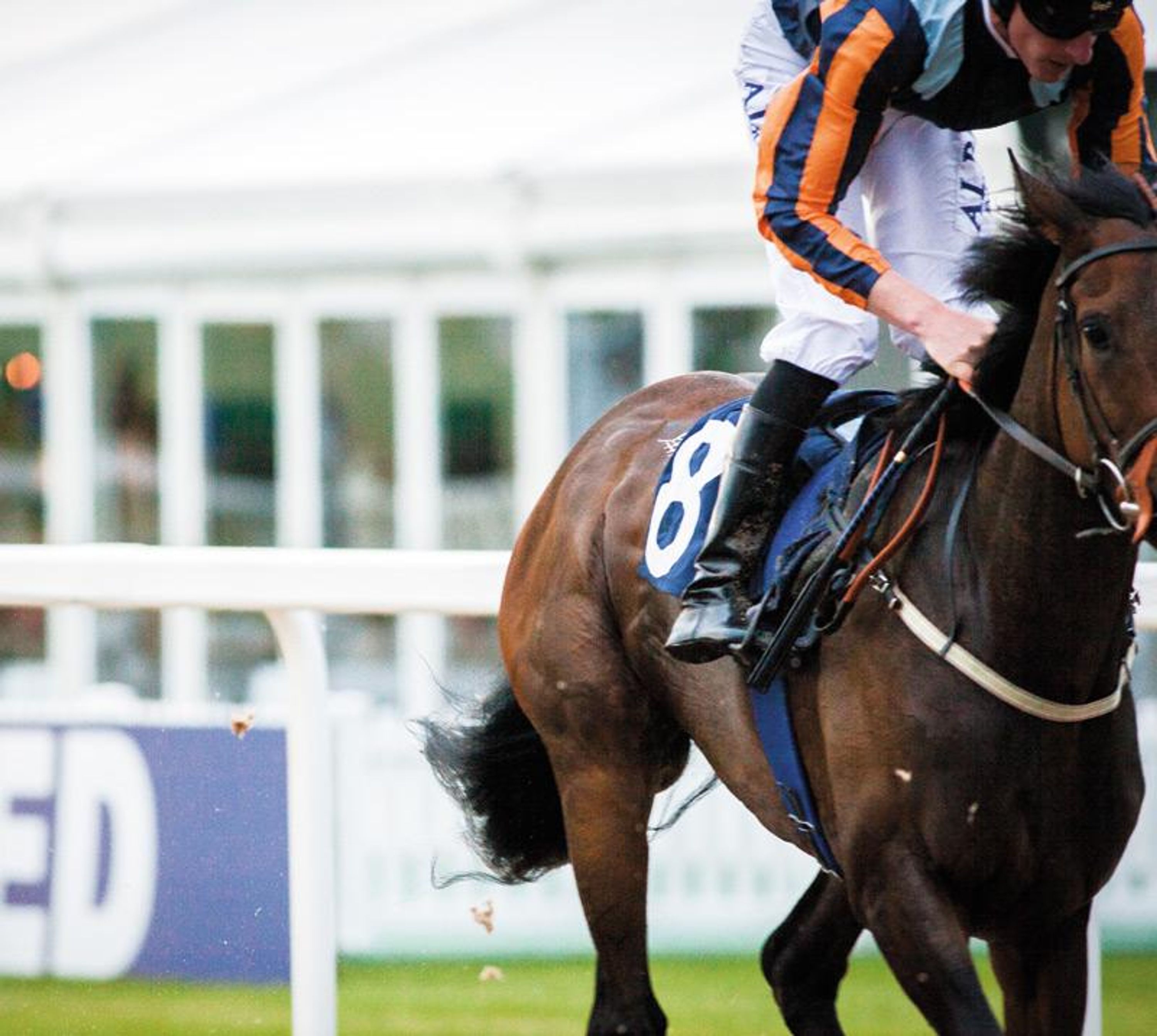 Arena Racing Company - About - PlaySport