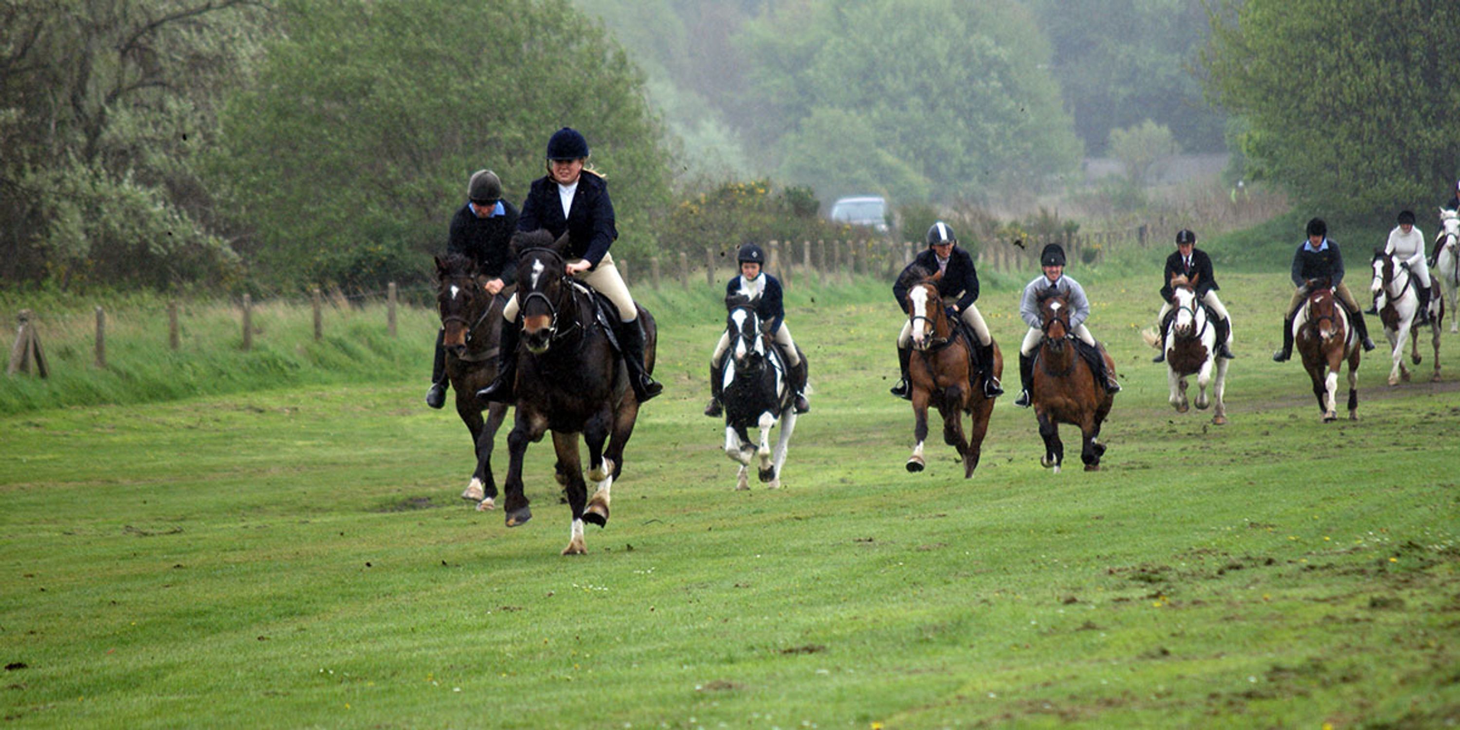 1Hr Group Riding Lesson for Child Beginners - PlaySport.com
