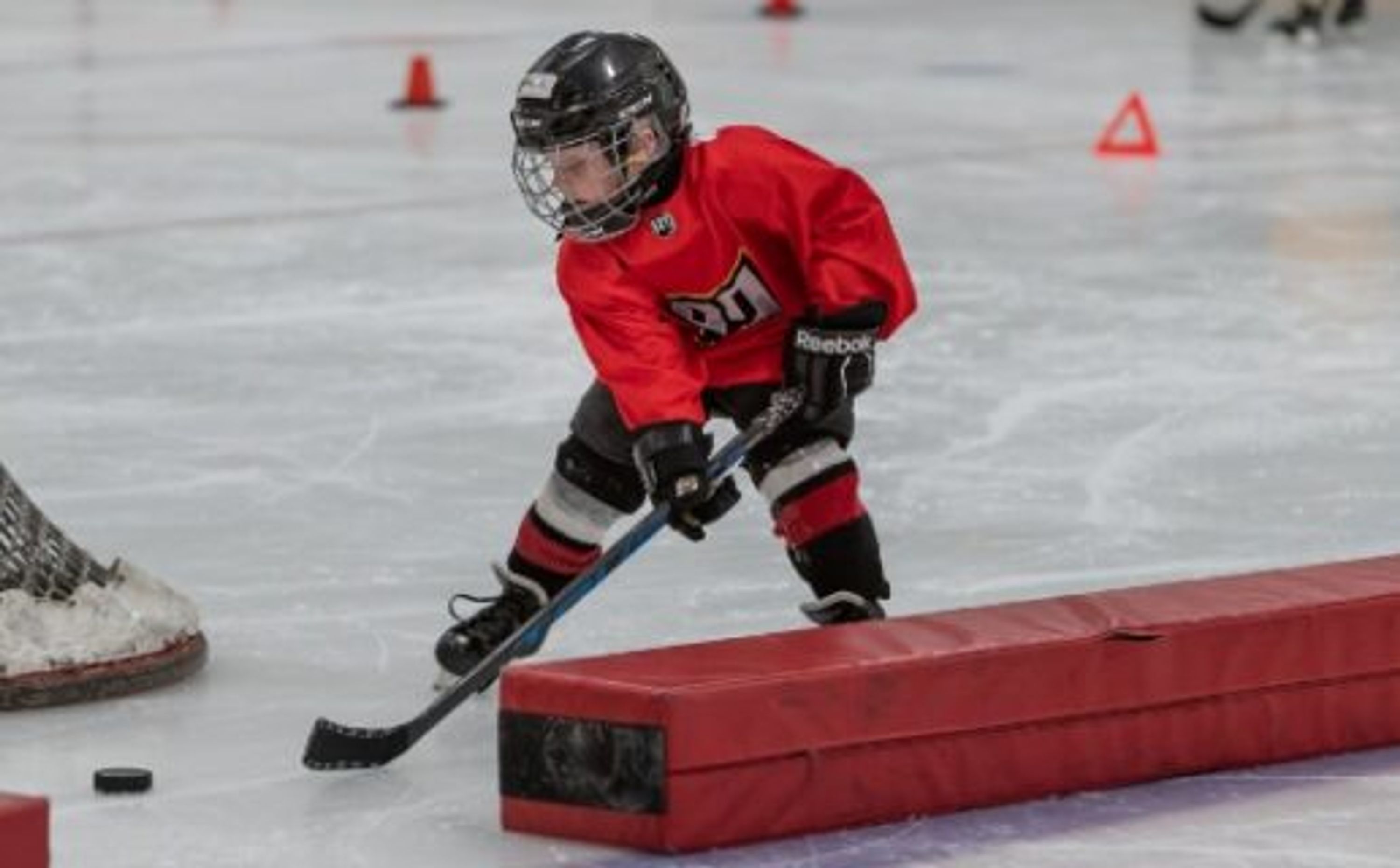 2nd Annual P3 International Hockey Expo - PlaySport.com