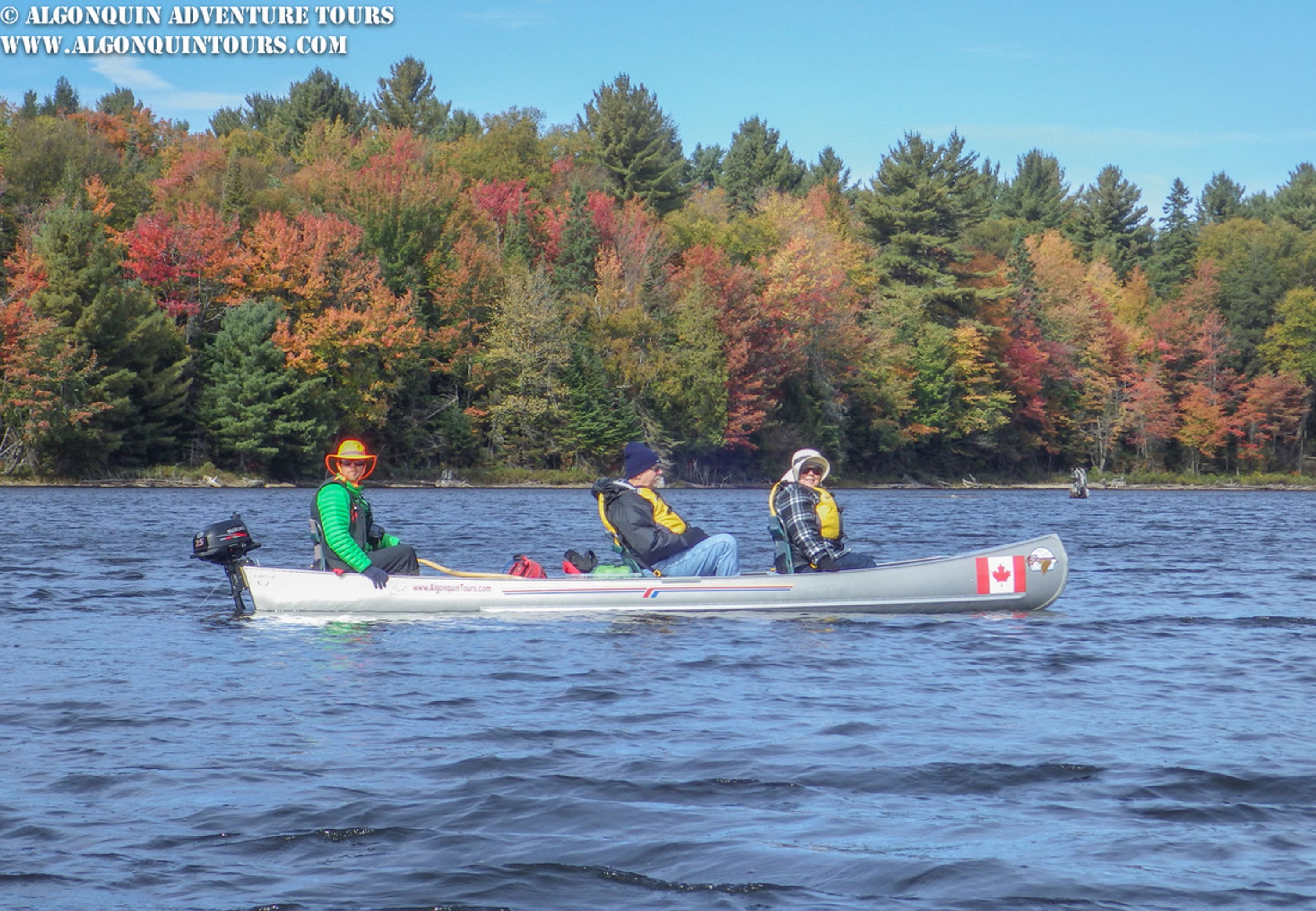 Algonquin Park 3h Guided VIP Electric Canoe Day Trip Photography Tour ...