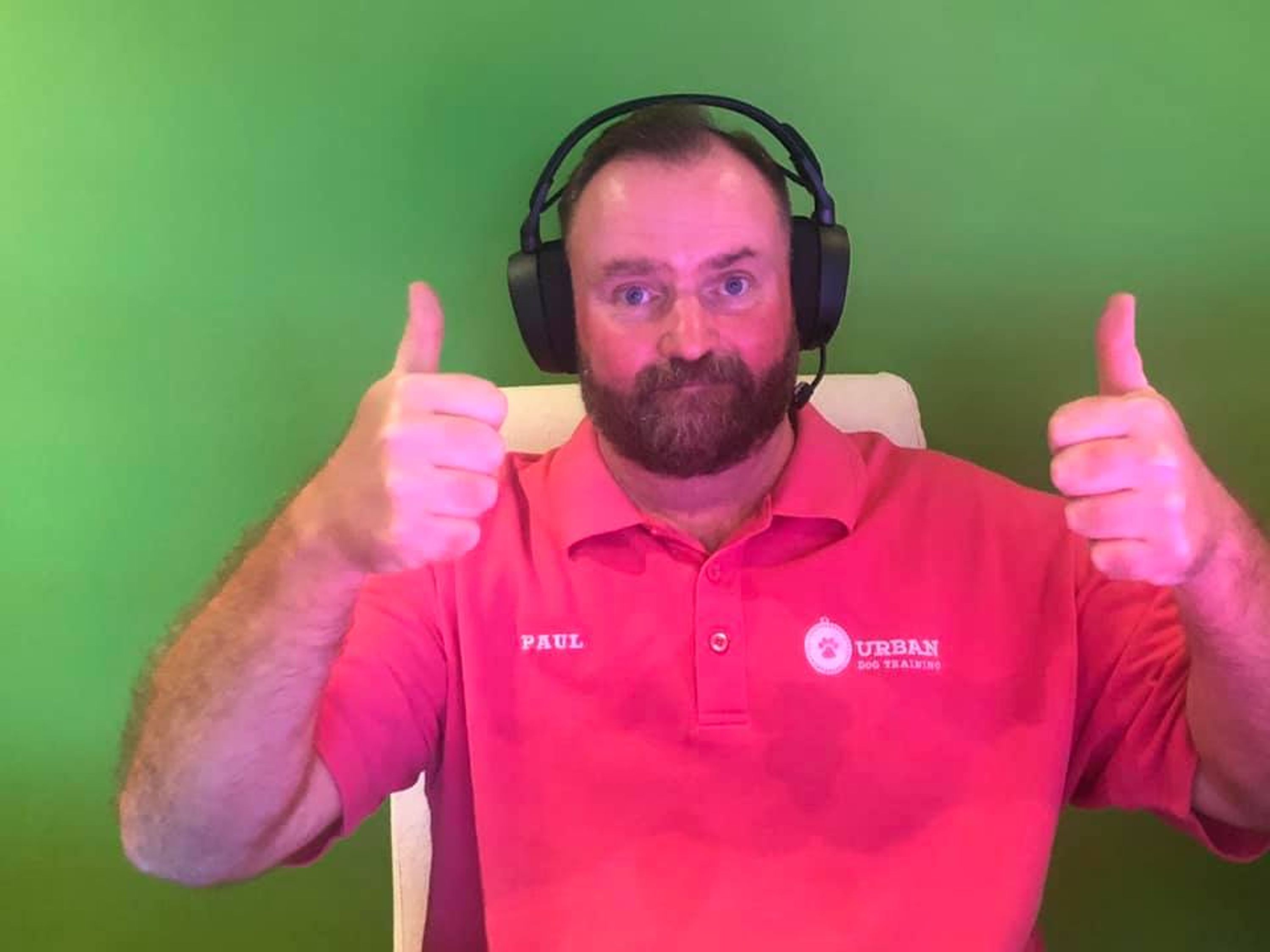 Urban Puppy School via Zoom - PlaySport.com