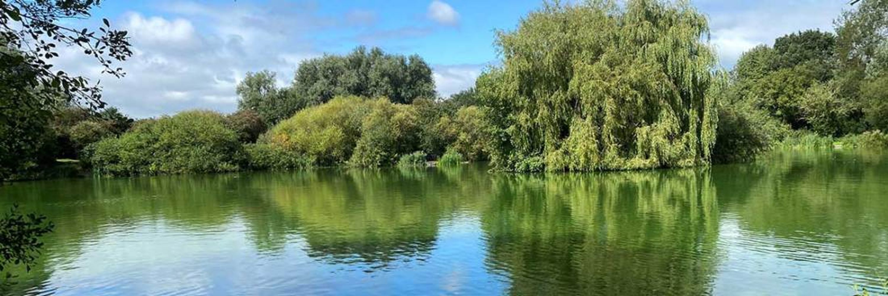 Bellows Mill Fishery (Verulam Angling Club) - PlaySport