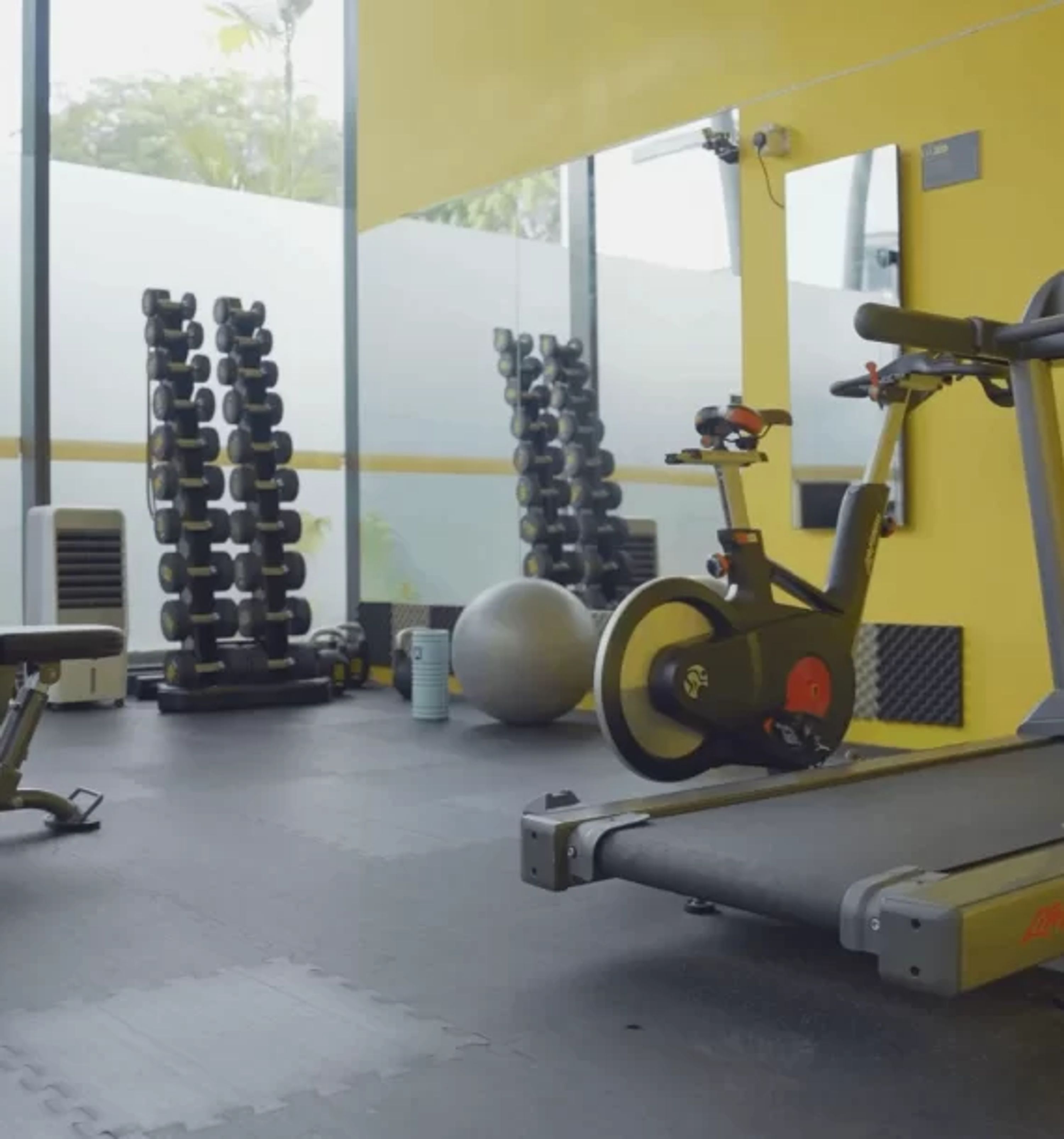 The Gym Pod @ Holland Village Park - PlaySport