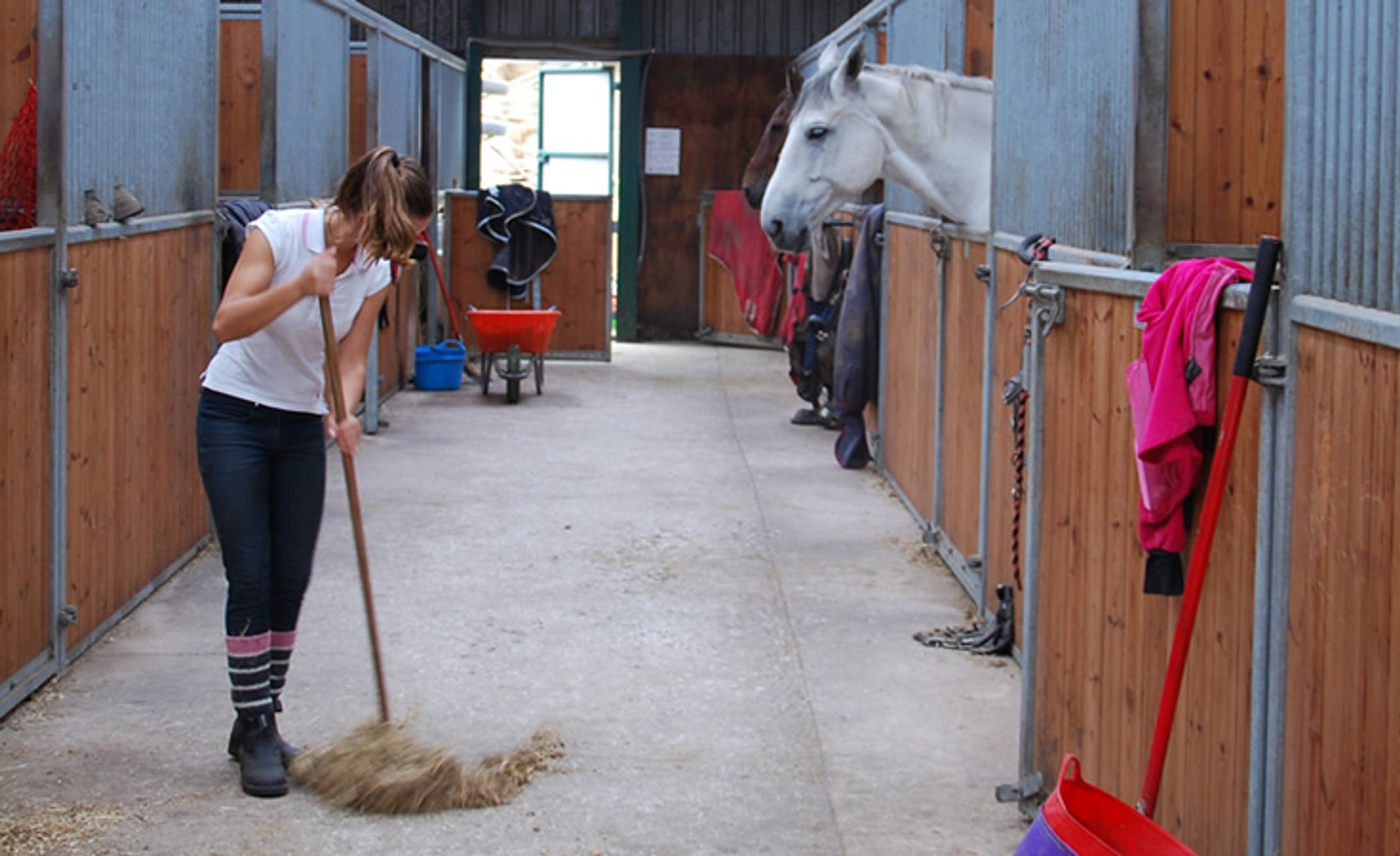 Dean Valley Livery Stables & Competition Facilities - PlaySport.com