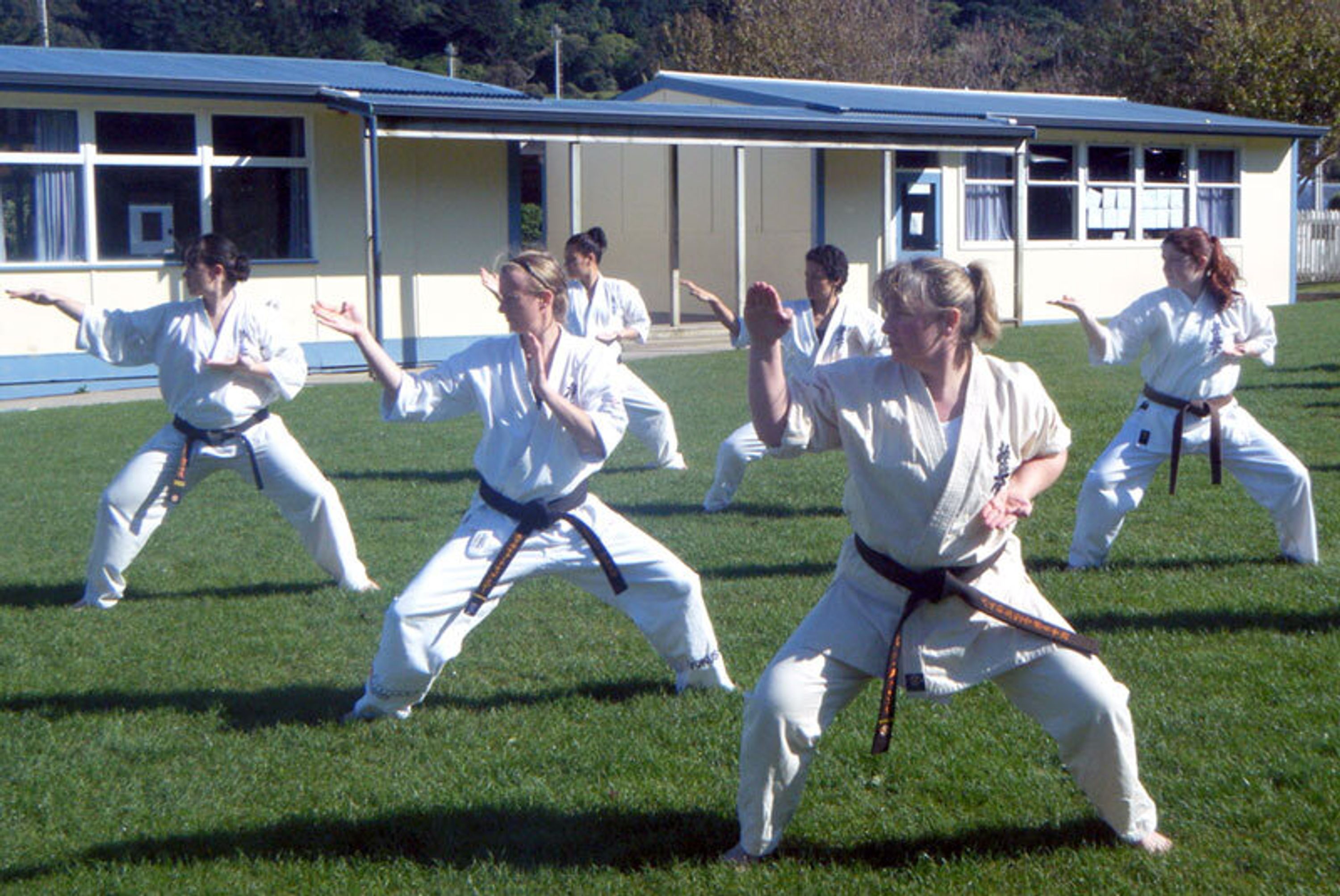 Mas Oyama Karate New Zealand - PlaySport